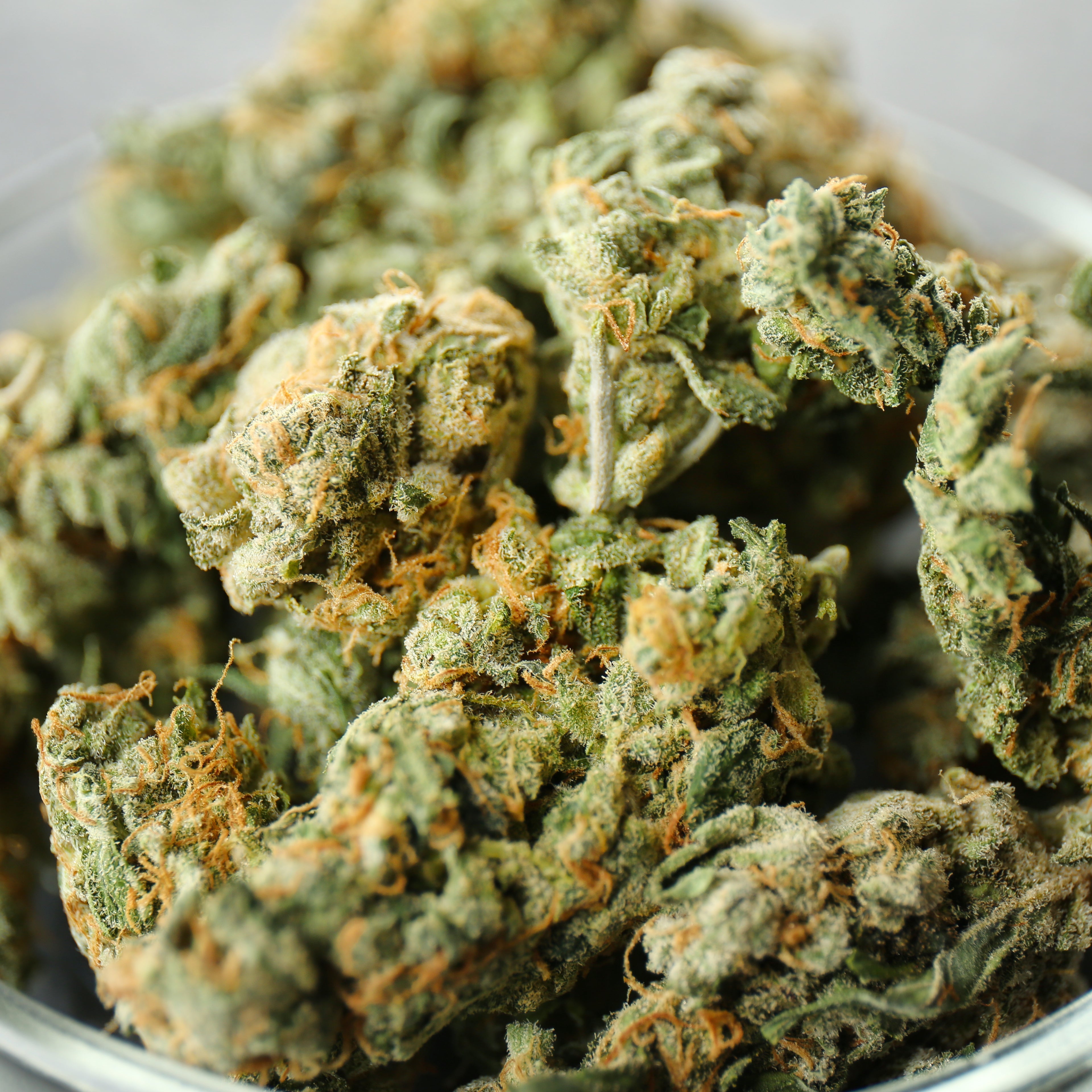 Premium Type IV Cannabis Flower | CBG Dominant – Victory Banner Farms